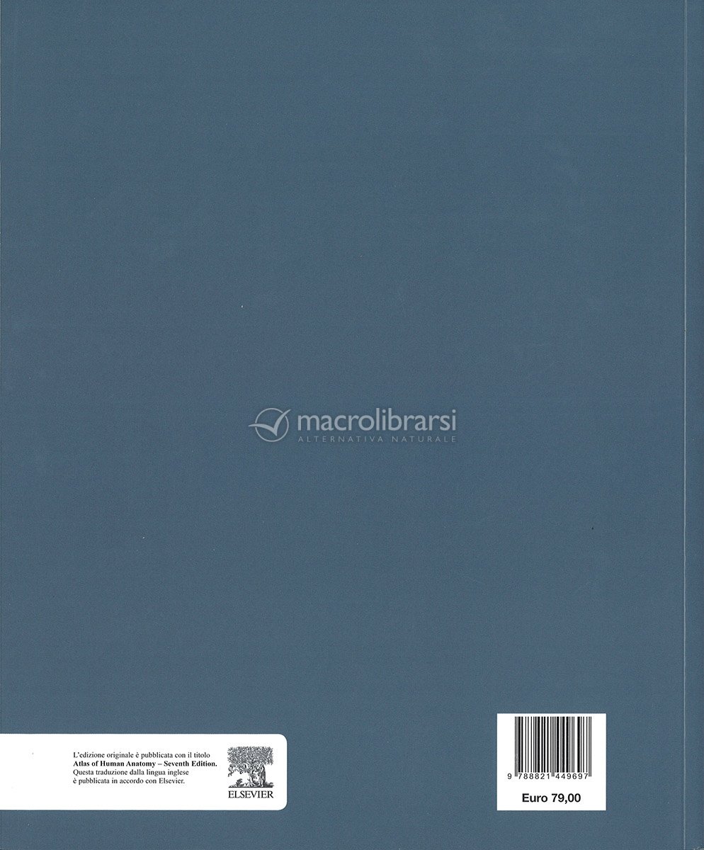 Netter - Atlante di Anatomia Umana — Libro di Frank Henry Netter