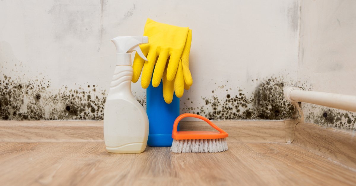 Eliminare le muffe in modo naturale