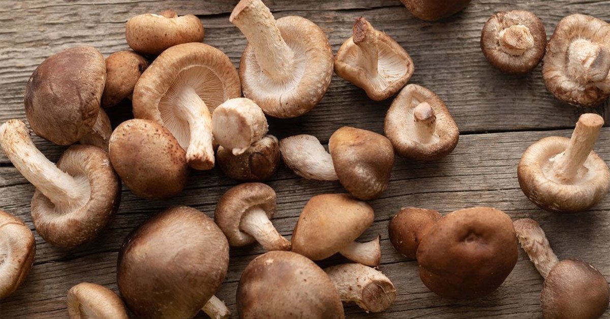 Funghi shitake: proprietà, benefici e come utilizzarli in cucina