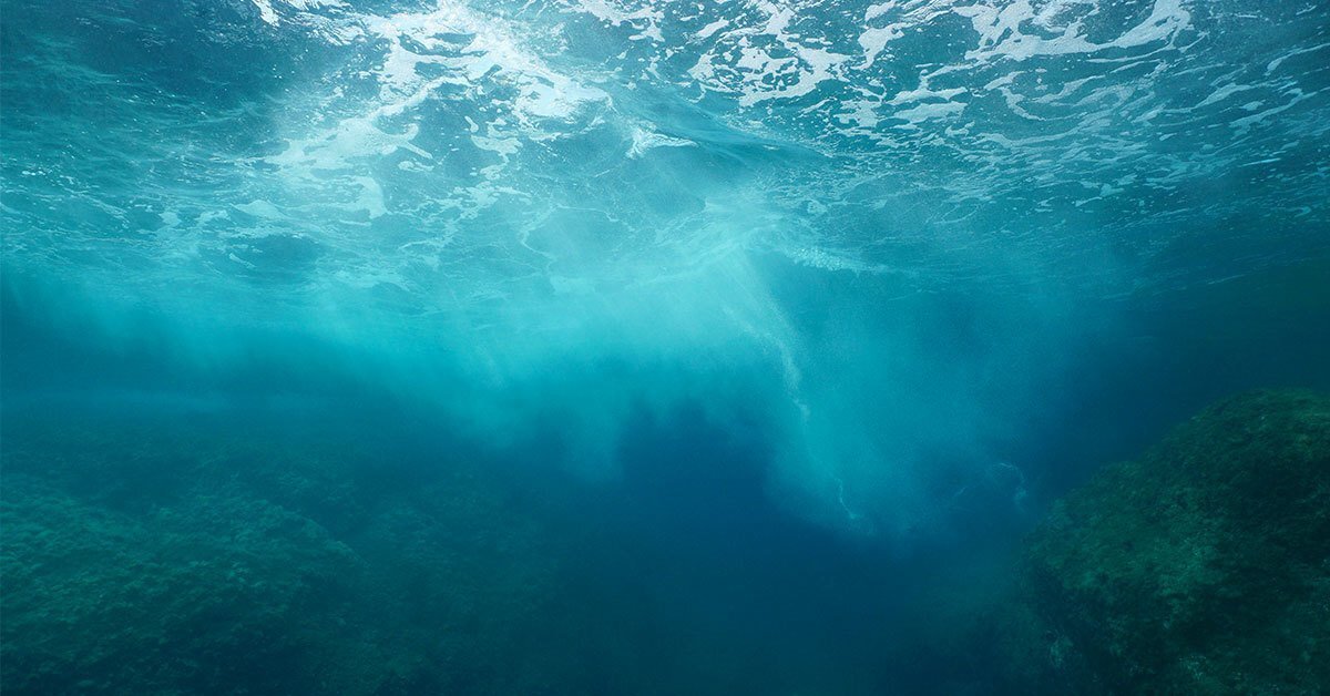 Garum Armoricum: dal mare un preziosissimo ricostituente per la mente