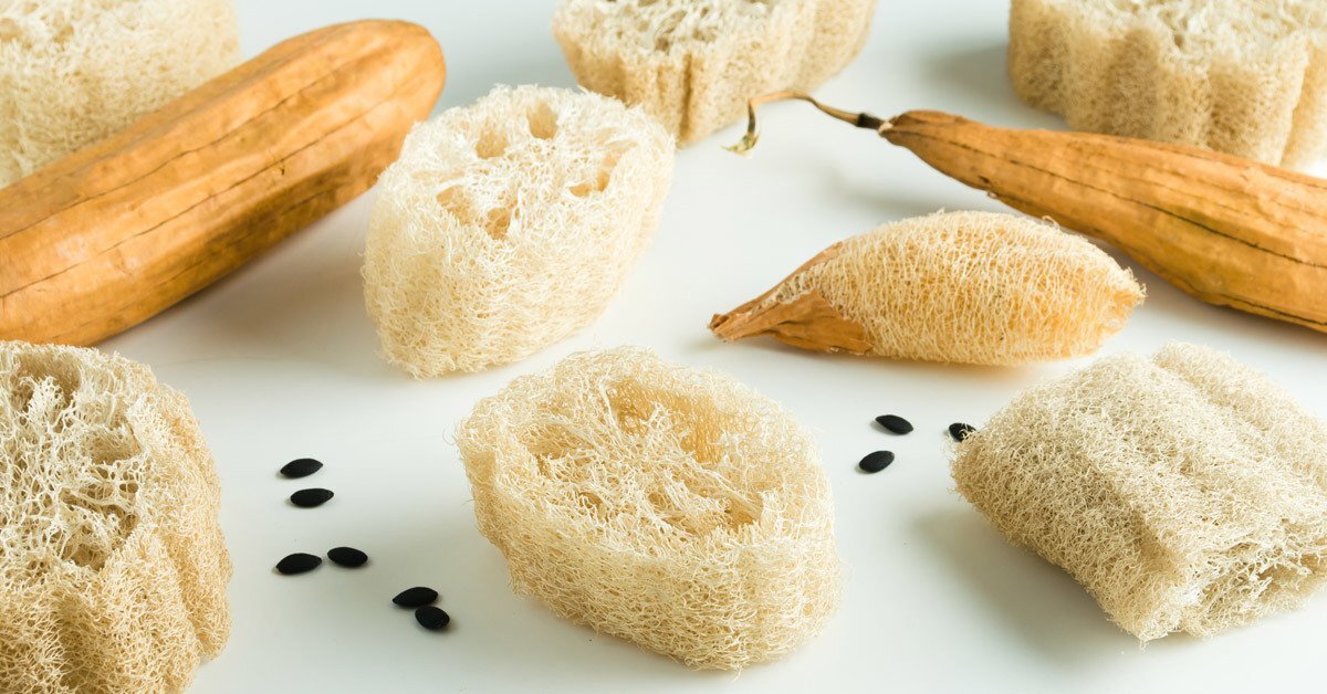 Luffa: cos’è e come usarla