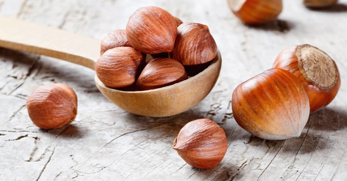 Nocciole: proprietà e come usarle