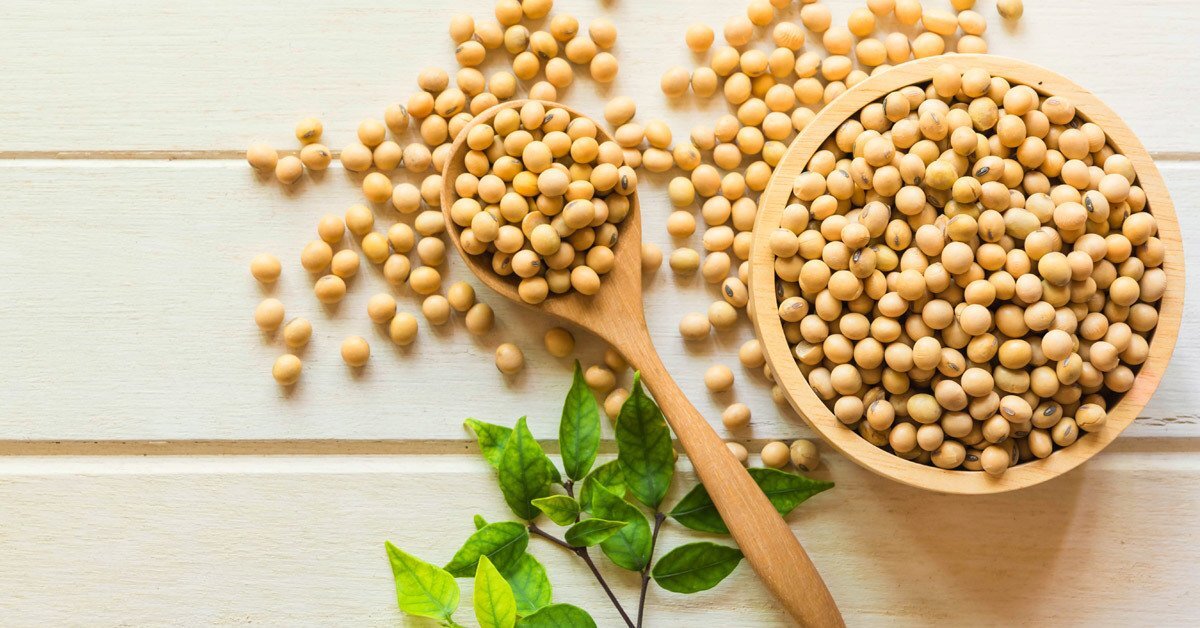 Soia gialla, verde o nera: quali differenze?