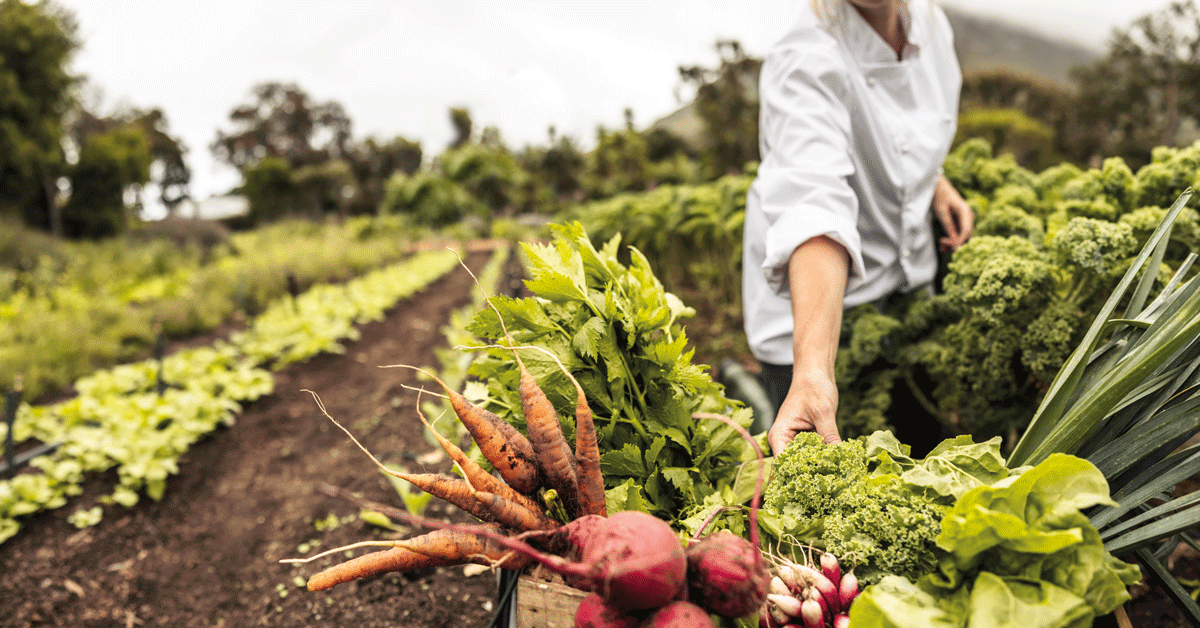 Suoli più fertili e cibo migliore con l'agricoltura rigenerativa